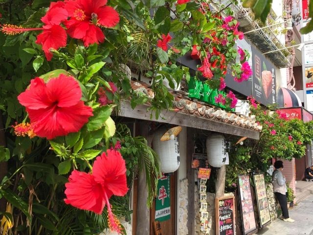 スピッツを売る珈琲屋台の「ヒバリのこころ」（沖縄・東京二拠点日記 36） | DANRO