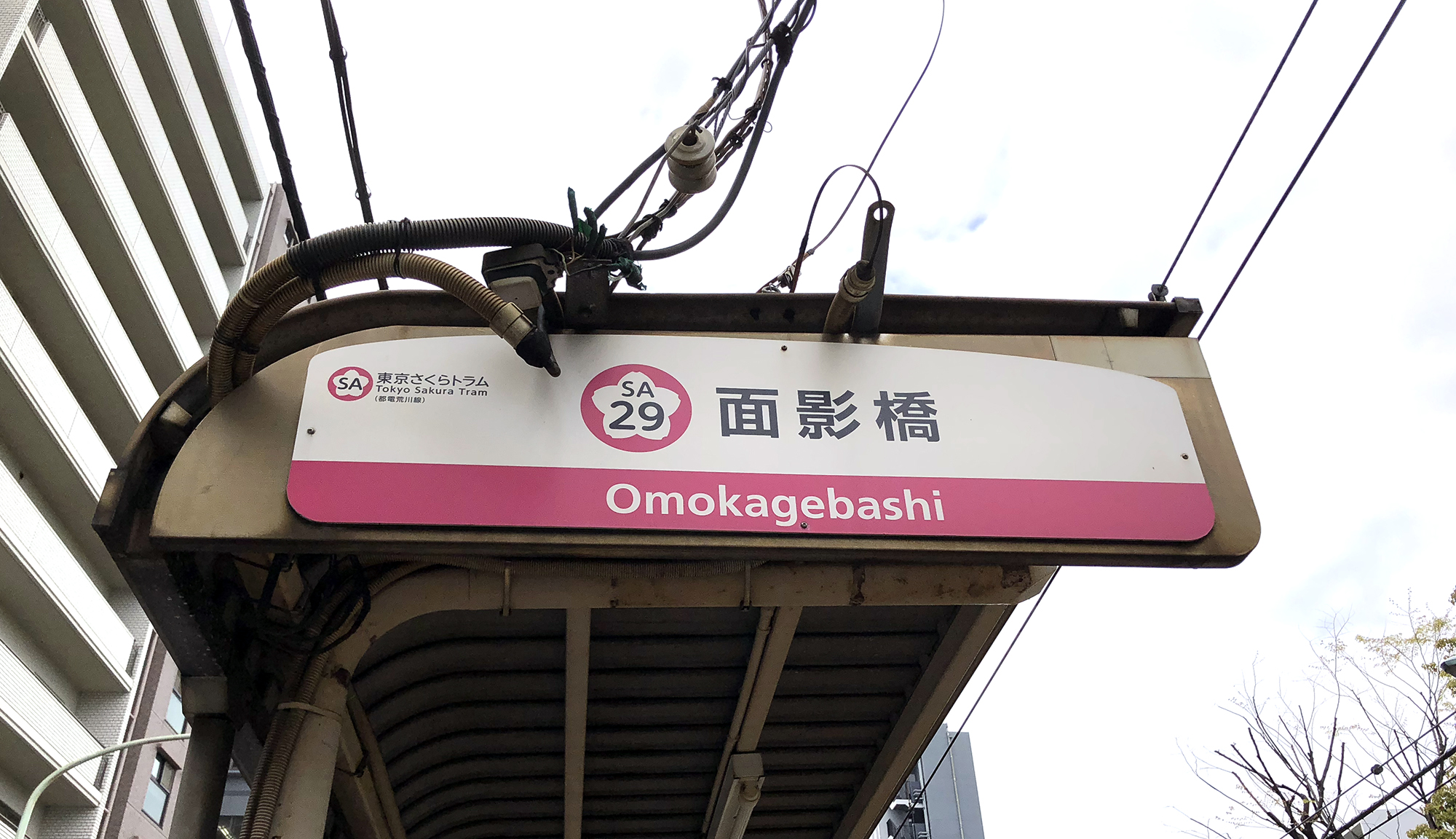 ヤギやウマやザリガニ…都心なのに動物が多い「面影橋」（地味町ひとり散歩 35） | DANRO